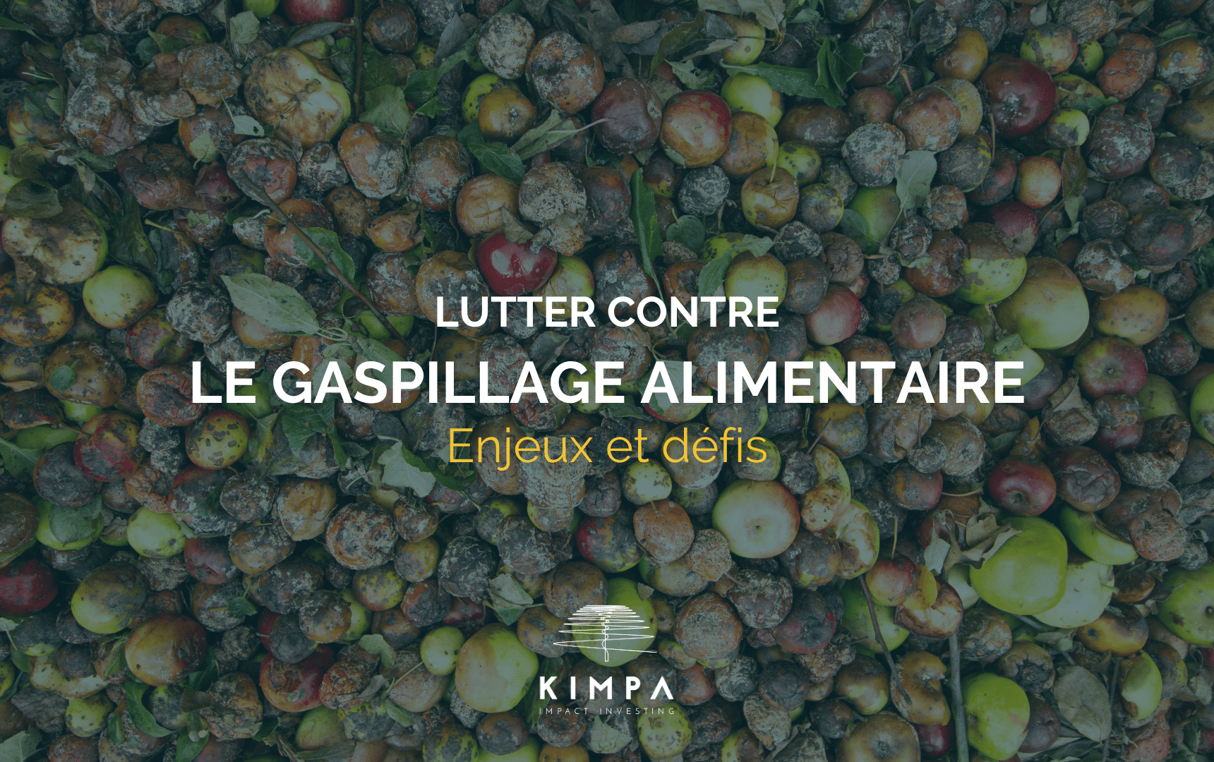 Kimpa | Lutter contre le gaspillage alimentaire : enjeux et défis